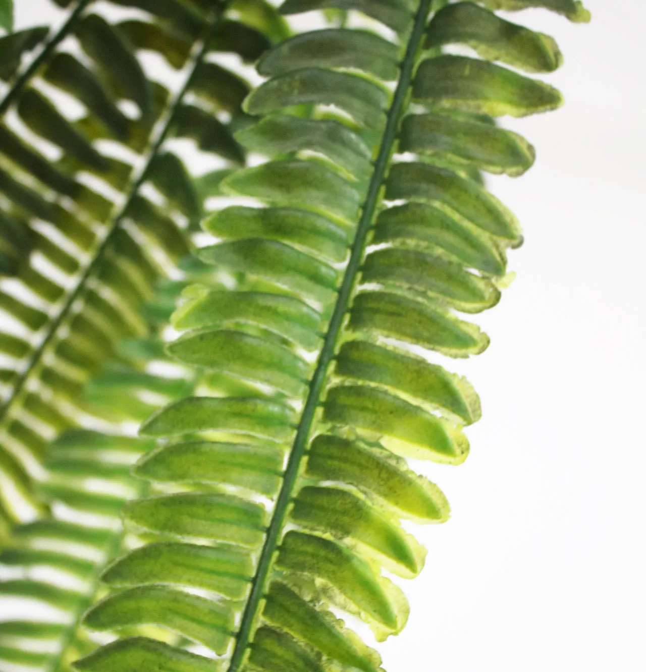 Greenery Bushes Artificial Plastic Boston Fern Leaves Plant Hanging ...