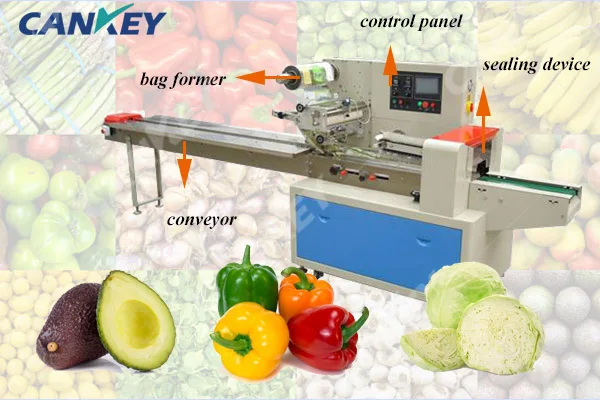 Ckzs250 Packing Lettuce Avocado Packaging Machine - Buy Avocado ...