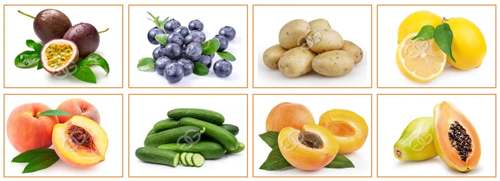 Automatic Papaya Cucumber Sorting Machine Japan Cucumber Grading ...