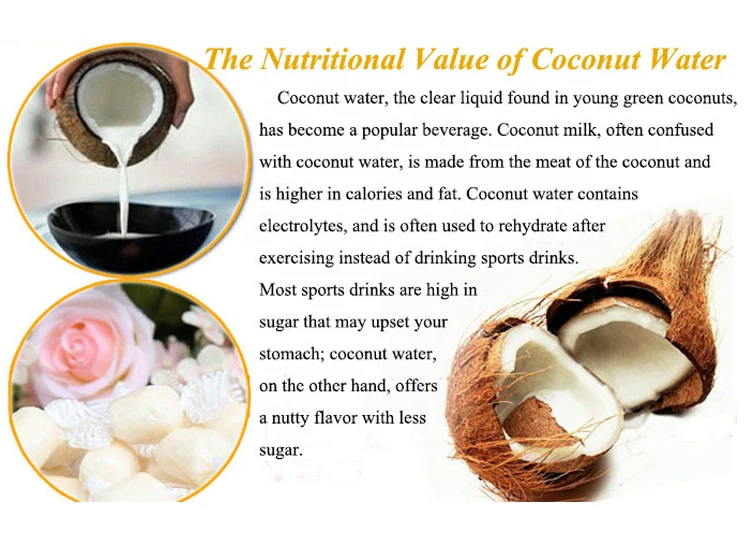 Coconut Squeezer Machine,Coconut Squeezing Machine To Make Coconut Milk ...