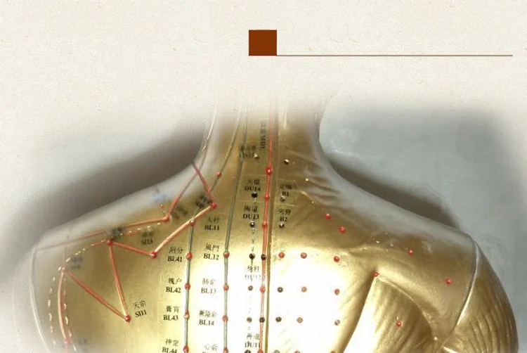 85cm Human Male Whole Body Acupuncture Bronze Model - Buy Male Body ...