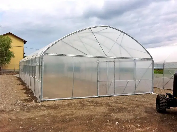 Galvanized Steel Frame Single Span PE Film Greenhouse