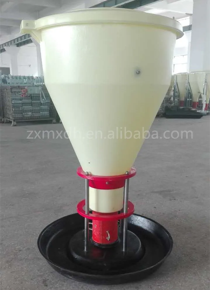 Automatic Poultry Equipment for Feeding - Easy & Efficient