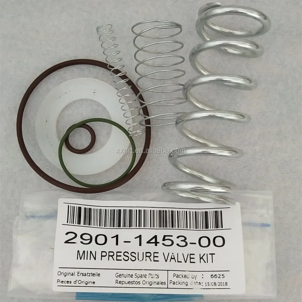 2901145300 Minimum Pressure Check Valve Kit Replacement