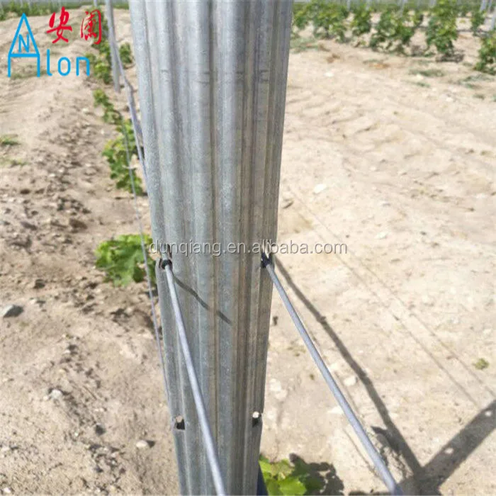 Galvanized Steel Vineyard Trellis Post/u Shape Grape Post To Support ...