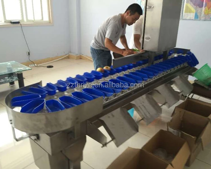 Conveyor Belt Weight Sorting Machine - Efficient & Reliable