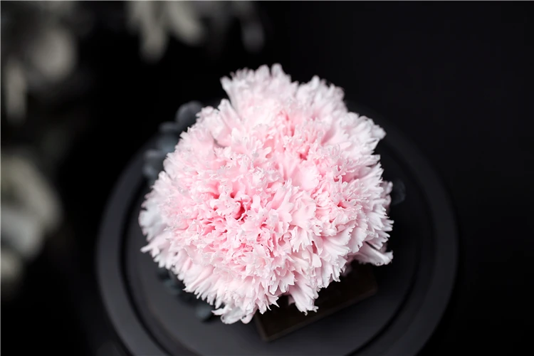 Giant Eternal Flower Preserved Carnation - Mother's Day Gift