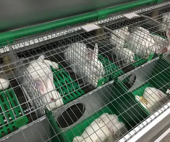 Rabbit Cage Commercial Rabbit Cagesrabbit Breeding Cages Intensive ...