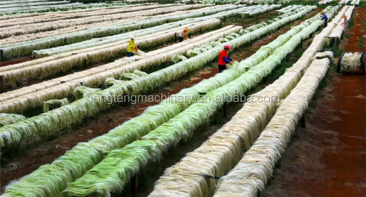 Efficient Prydnads Ananas Machine - Easy Pineapple Fiber Extraction