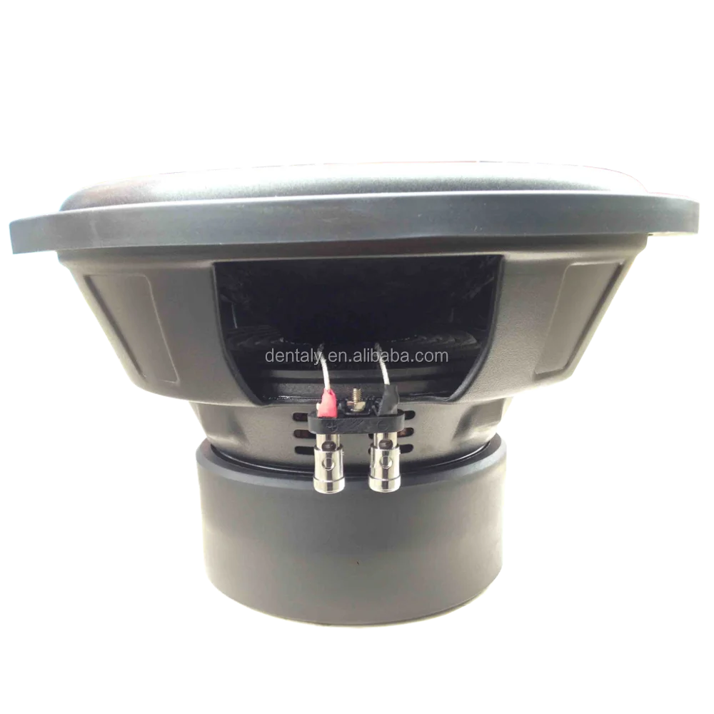 12 Inch Dual 2ohm or 4ohm 500W RMS Power Speaker for Car