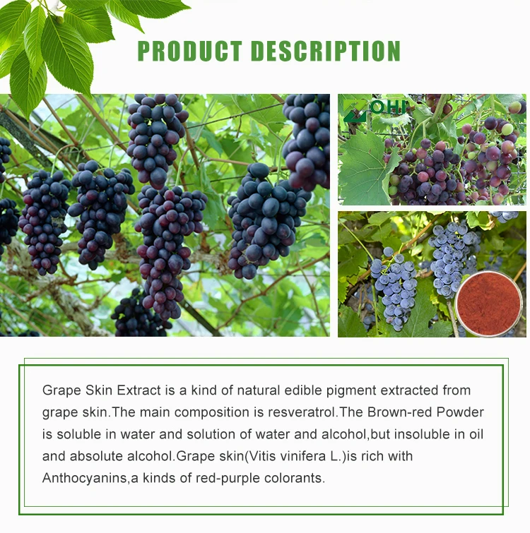 100% Pure Resveratrol Red Grape Skin Extract Powder | Grape Skin ...