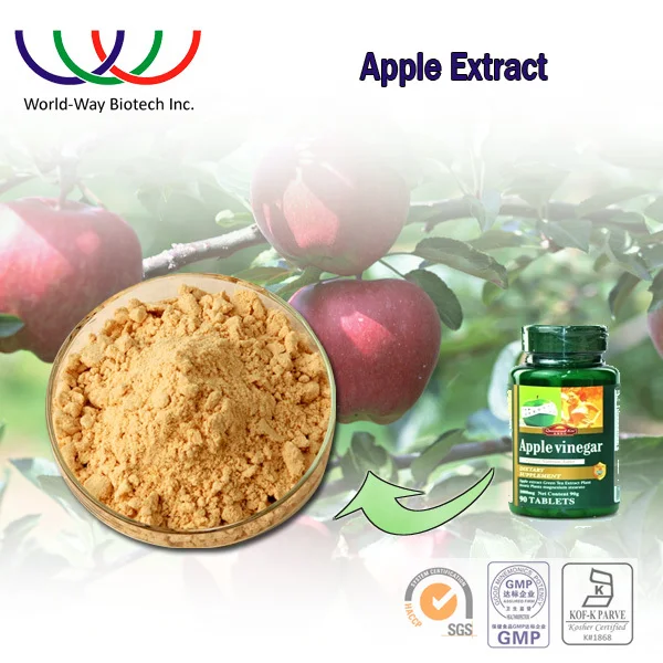 Free Samples High Quality Natural Anti-oxidant 90% Phlorizin Apple ...