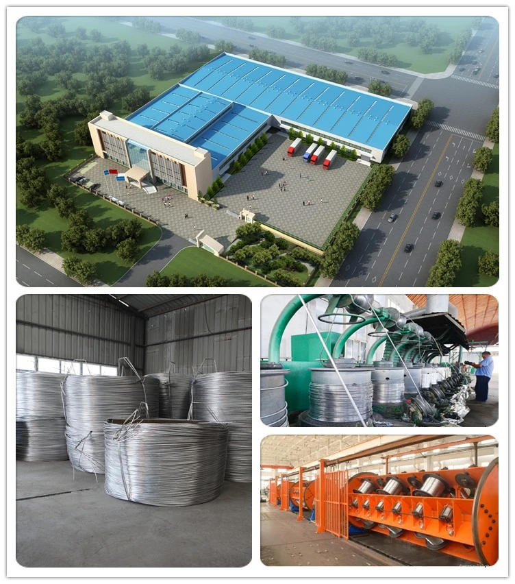 Aac Centipede /aac Centipede Conductor - Buy Overhead Conductor Aac,Aac ...