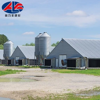 Steel Structure Farm Broiler Poultry Shed Construction Chicken House ...