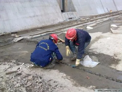 Shuanglin Waterproofing System - Hydrophilic Bentonite Rope