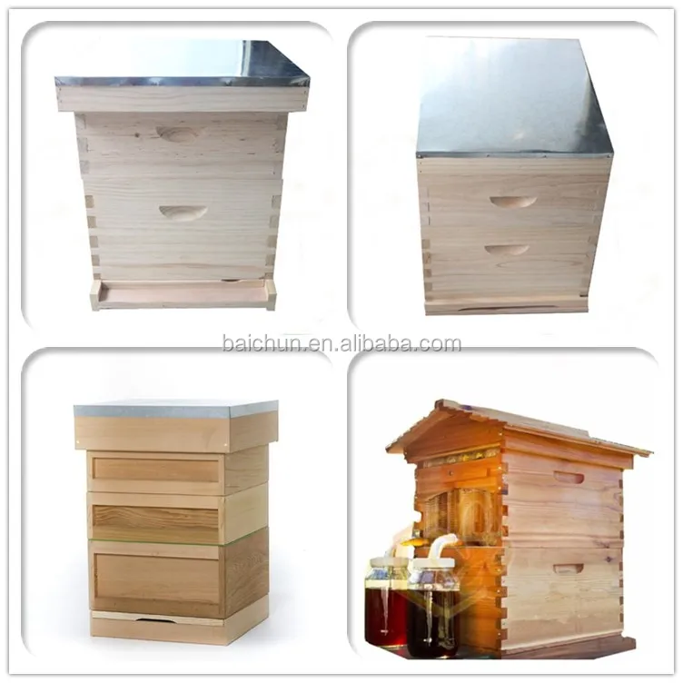 Two Layers 10 Frames Wooden Langstroth Bee Hive - Best Price