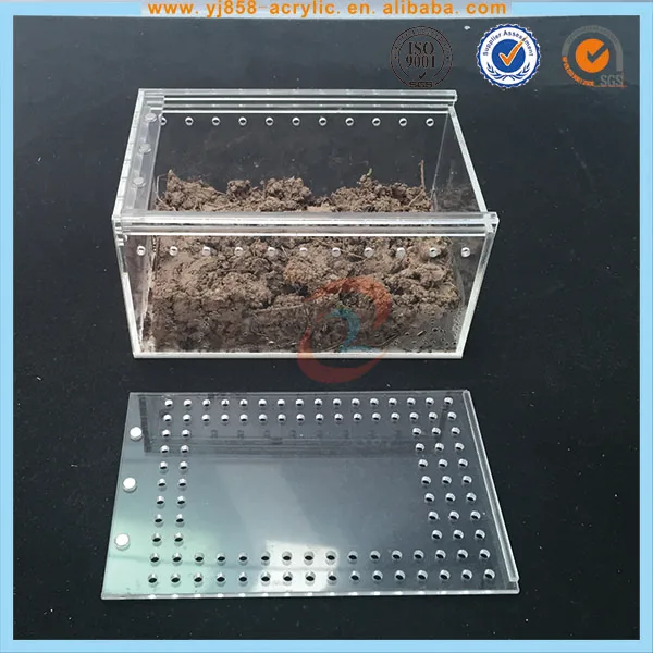 Acrylic Ant Farm Cages - Sustainable and Eco-friendly