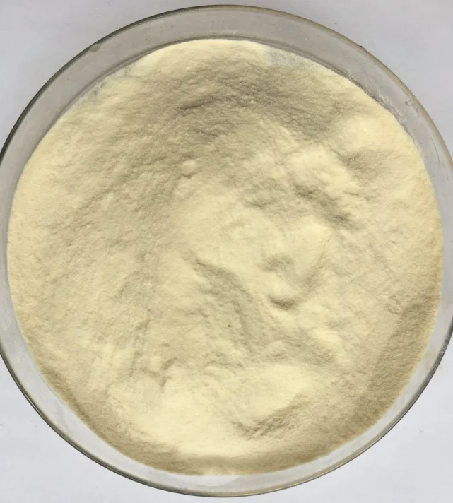 Natural Yacon Root Powder - Soluble & Versatile Extract
