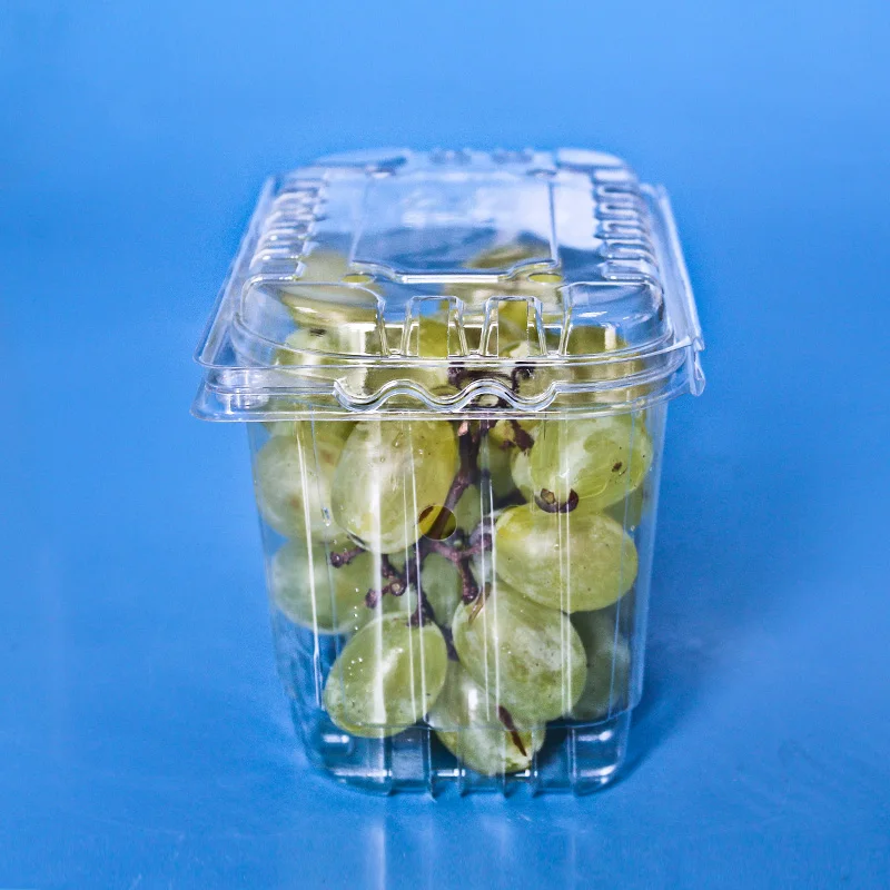 500g Clear Plastic Fruit Container with Lid - Customizable Airtight ...