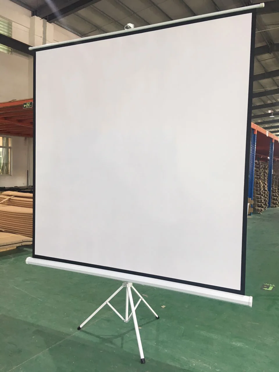 TELON SCREEN 150" Portable Projection - Ideal for Home Theater