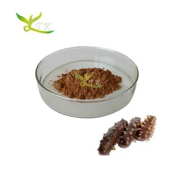 Nature Sea Cucumber Extract Powder - Buy Sea Cucumber Extract Powder ...
