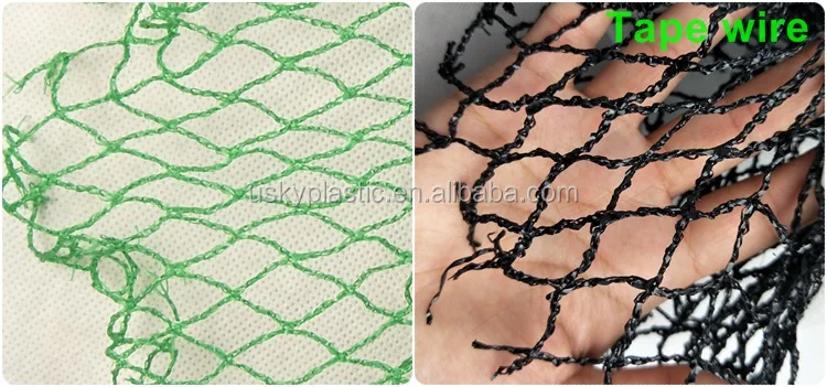 South Africa Rice Farm Hdpe Bird Netting For Sale - Buy Bird Netting ...