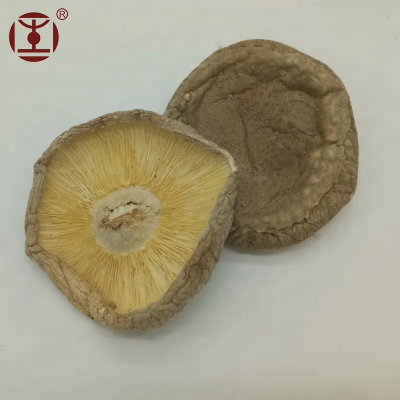 Lentinus Edodes Beta Glucan - Shiitake Mushroom Extract