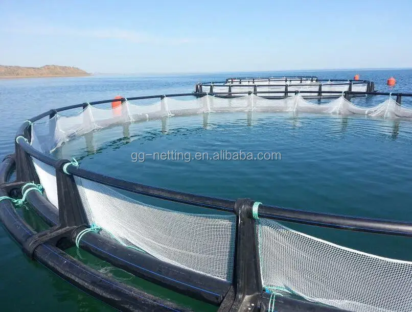 Fish Farming Cage Nets - Buy Fish Farming Cage Nets,Fish Farm Cage Nets ...