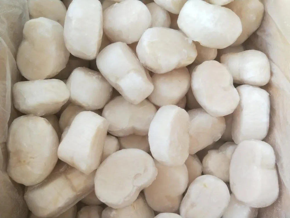 New Season Good Price Frozen Pen Shell Meat Scallop Meat - Buy Pen ...