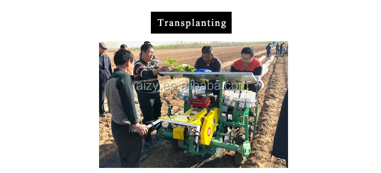 Multi-functional Vegetable Transplanter for Tomato & Pepper