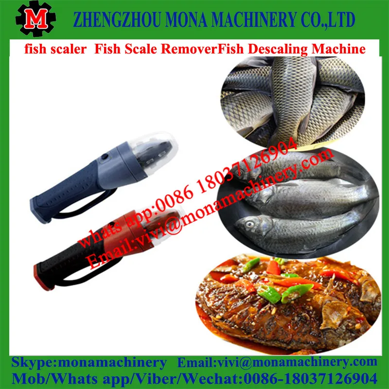 Fish Scale Peeling Machine - Efficient & Reliable Solution