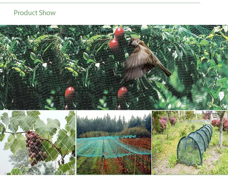 Bird Nets For Catching Birds/bird Capture Nets - Buy Bird Capture Nets ...