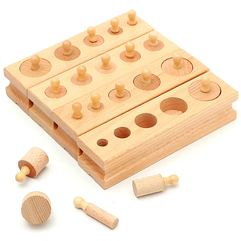 Montessori Wooden Cylinder Socket Set Kids Shape Matching Toy ...