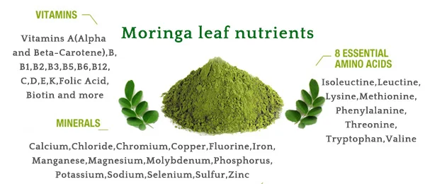 Lifeworth Slim Fit Moringa Powder Capsules Private Label - Buy Moringa ...