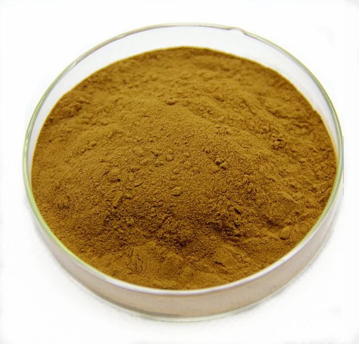 Manufacture Supply Top Quality Radix Bupleuri Extract/bupleurum ...