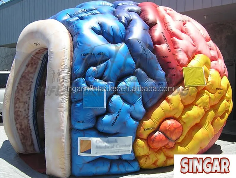 Custom Inflatable Medical Brain Props - Singar Quality