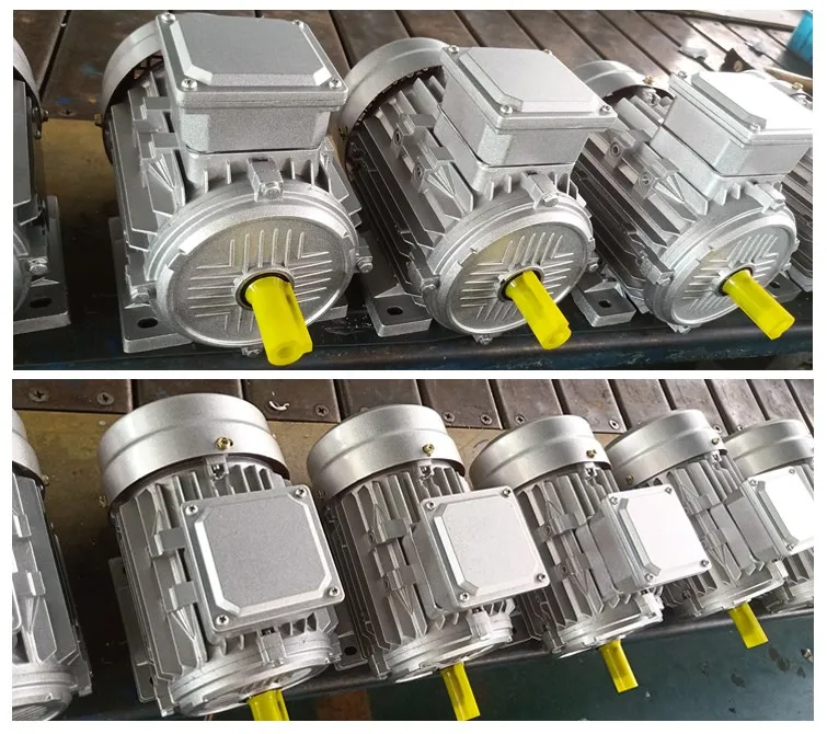 Ms Series 750w Three Phase Induction Motor Ms8024 - Buy Three-phase ...