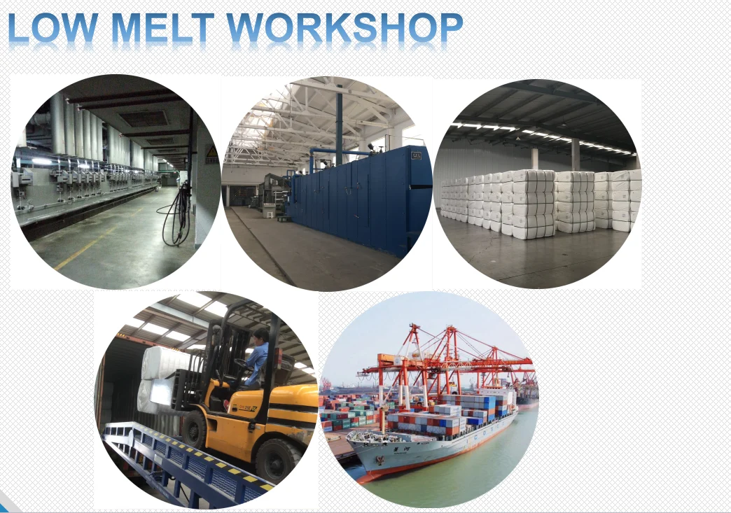 Low Melt Polyester Staple Fiber/ Low Melt Fiber/ 4d*51mm Melting Point ...