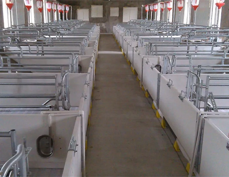 Pig Farming Equipment Hog Farrowing Crate Cage For Pigs - Buy Farm ...