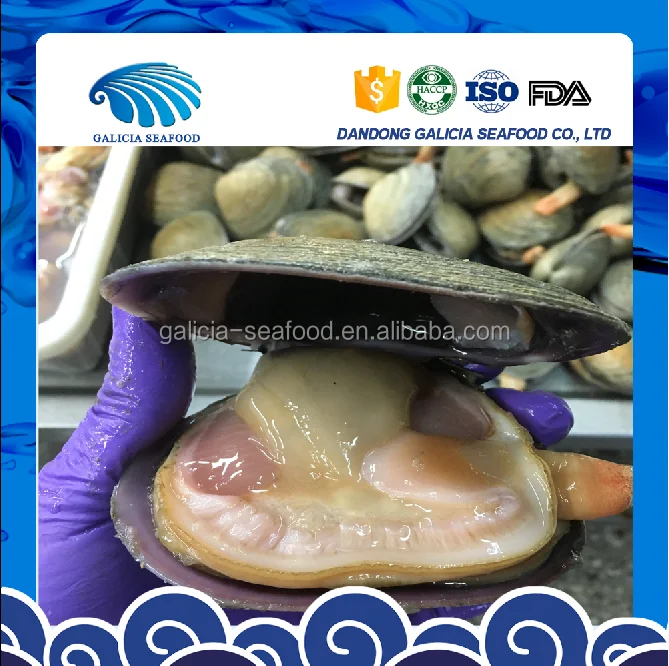 periwinkleclam,razorlam,lam_大山谷图库