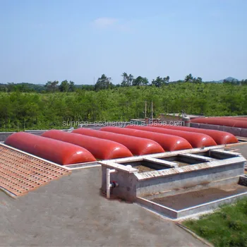 Cow Pig Dung China Biogas Engine Power Plant Digester Storage Bag Tank ...