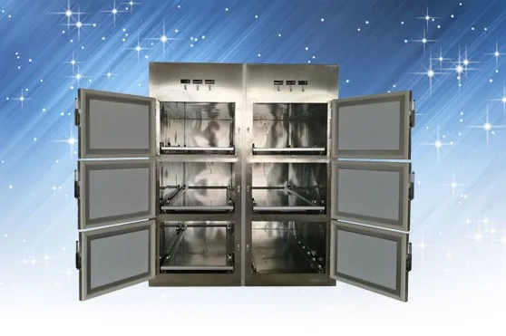 Roundfin Cheap And Portable Refrigerator Coffins Cooler For Dead Body ...