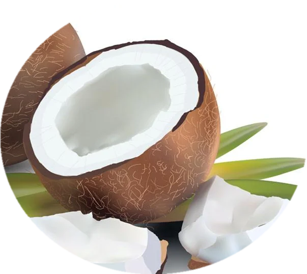 Super Food Organic Coconut Protein Powder - Buy Coconut Protein Powder ...