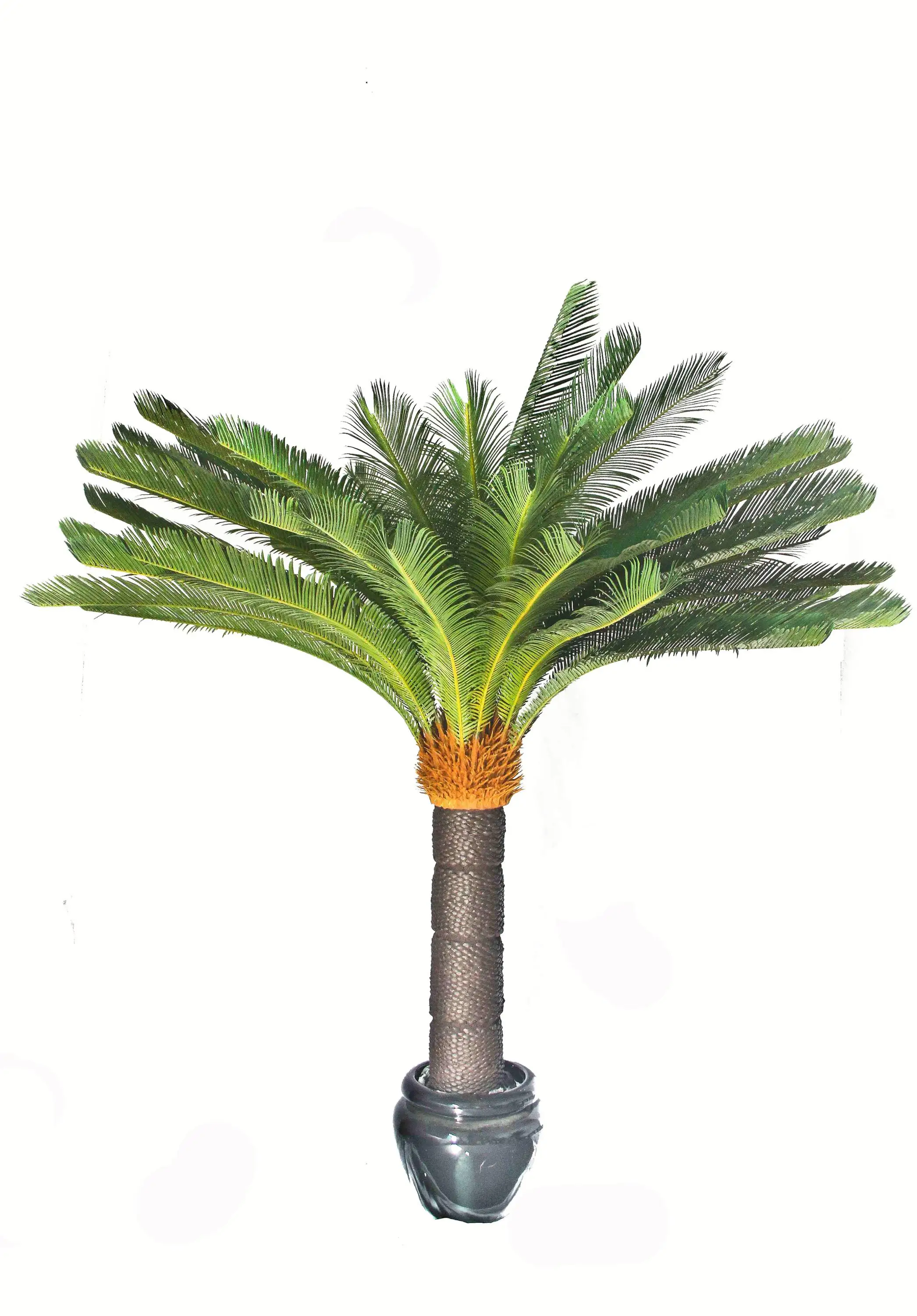 Artificial Sago Palms Plastic Cycas Bonsai Plants - Buy Plastic Cycas ...