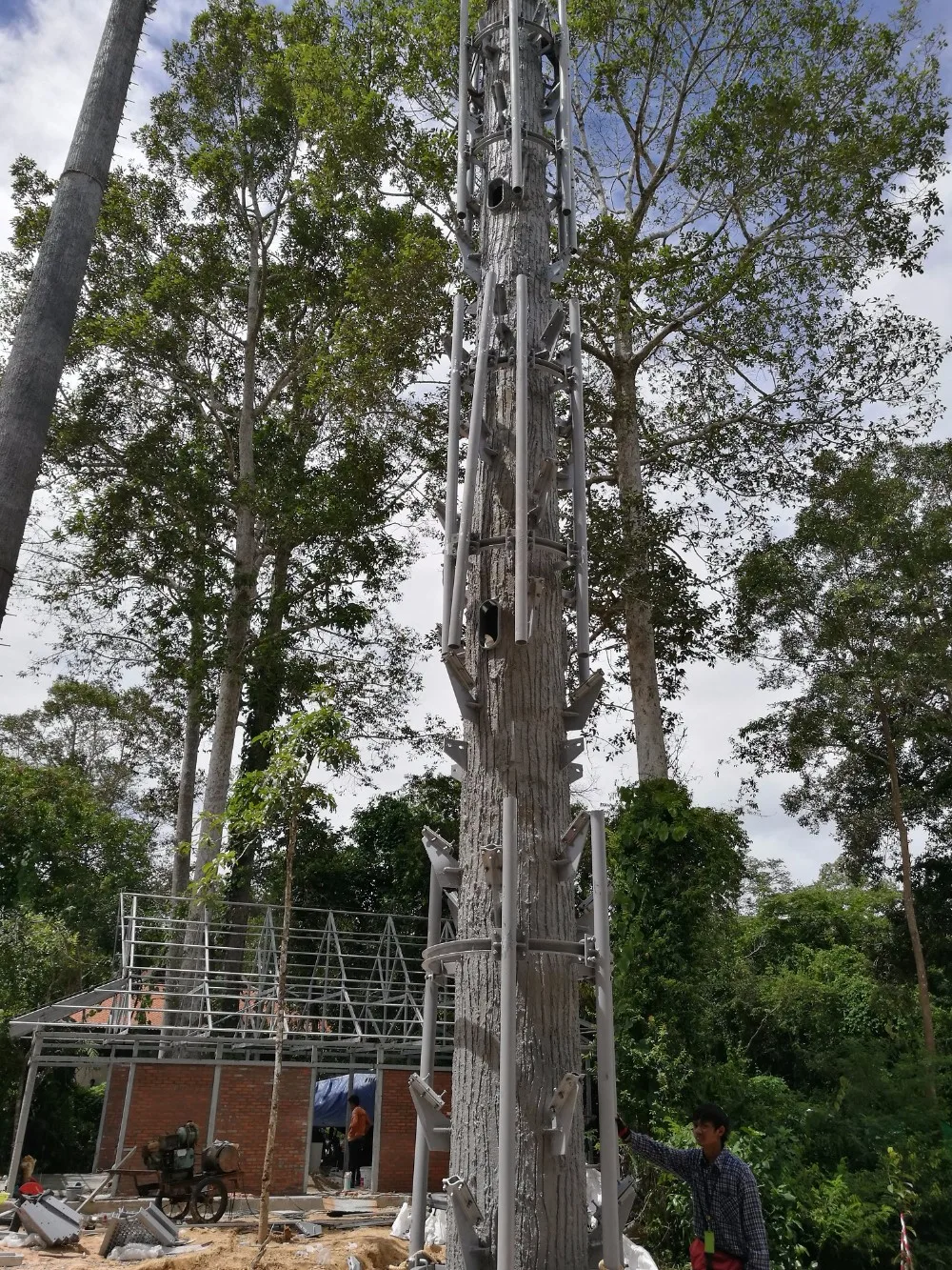 Disguised Palm Tree Monopole Tower - Buy Camouflaged Banyan Tree Tower ...