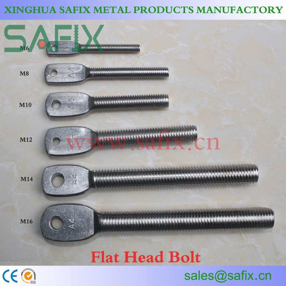 SS304 SS316 Stainless Steel Flat Head Bolt/Extension Arm/Spade Bolt ...