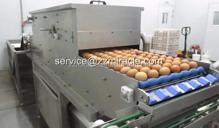 Eggcellent Efficiency - Fresh Chicken Egg Washing Machine