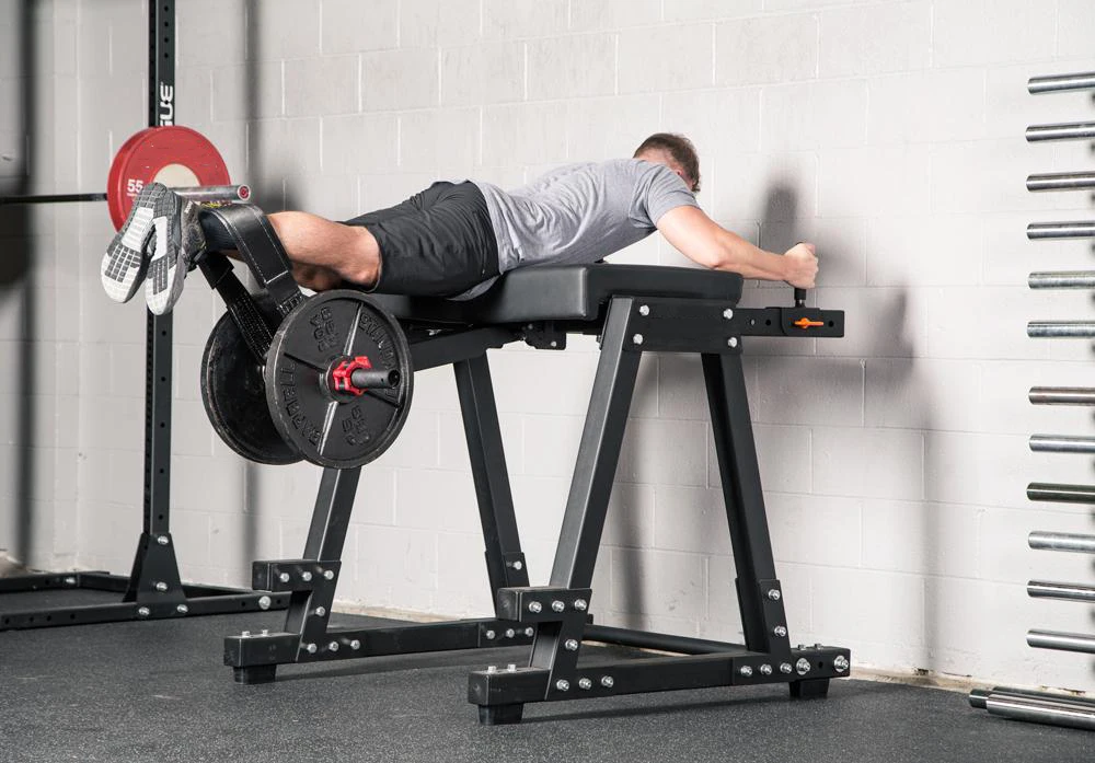 Potence Reverse Hyper Extension - Buy Reverse Hyper,Reverse Hyper ...