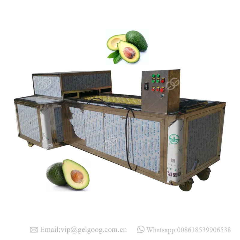 Automatic Avocado Pitting - Efficient Stone Fruit Pitter