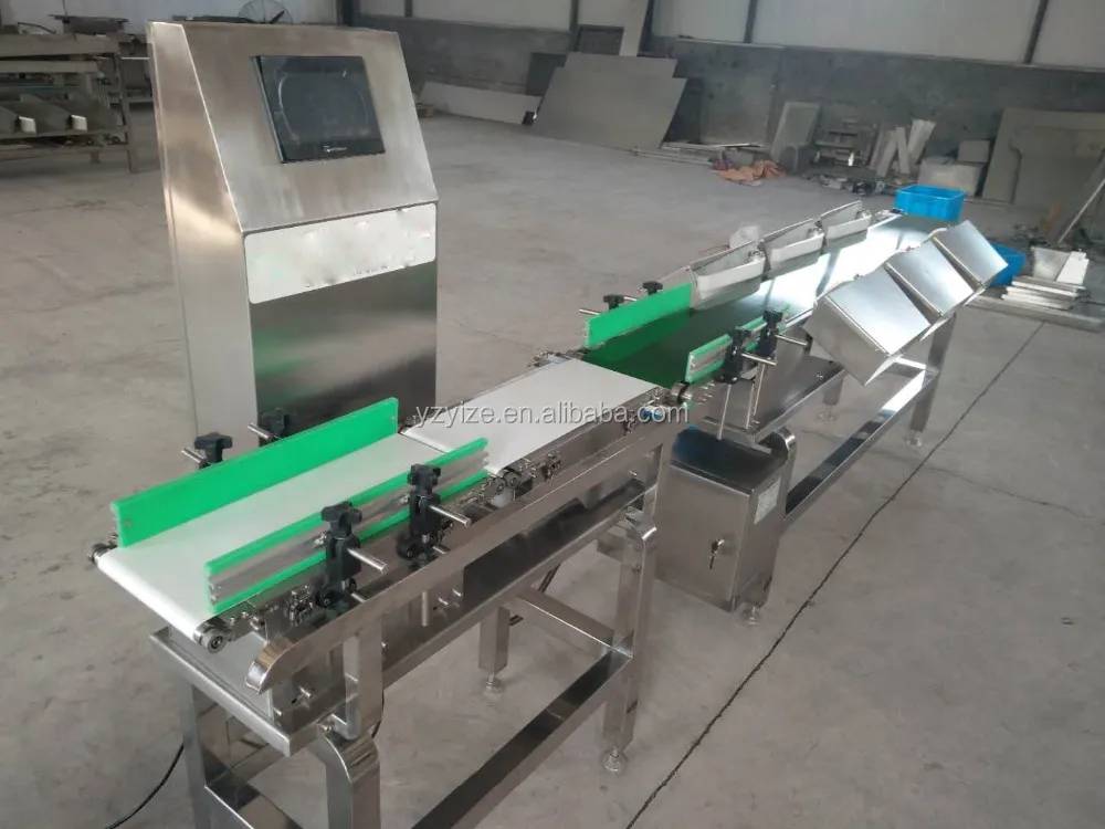 Lobster Oyster Grader Machine - High Efficiency Fish Sorter